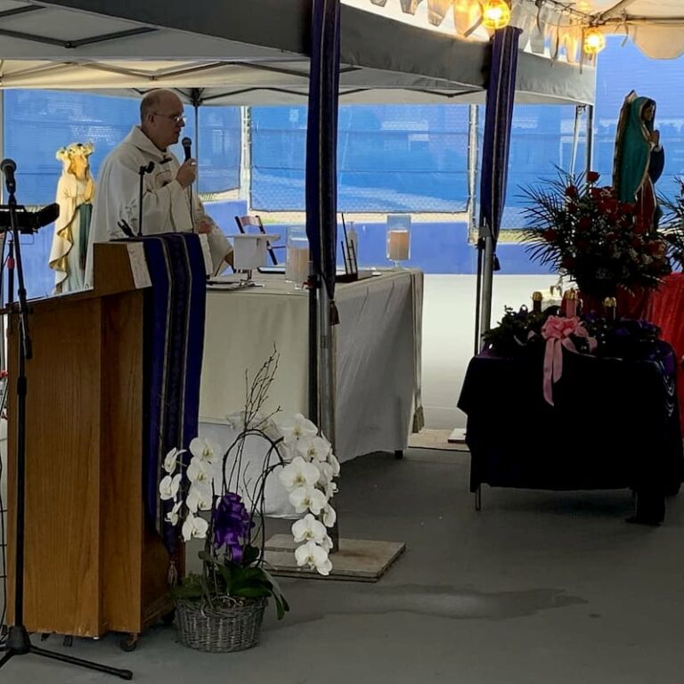 Our Lady of Guadalupe, Star of the New Evangelization – Mary, Star of ...